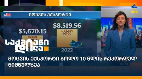 მოცვის ექსპორტი ბოლო 10 წლის რეკორდულ ნიშნულზეა Youtube