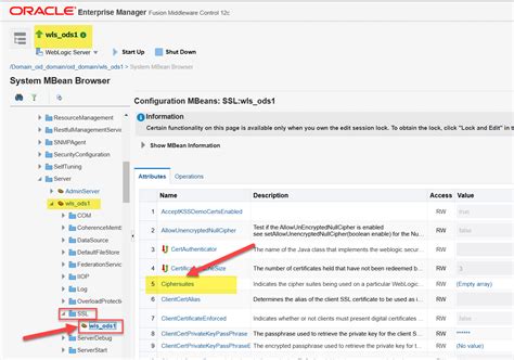 Configure Oracle Internet Directoryoid 12214 Oracle Solutions