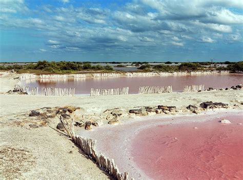 Salt Evaporation Ponds Photograph By Daniel Sambraus Pixels