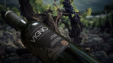 Vigno Rescuing And Honoring Maules Carignan Morandé English