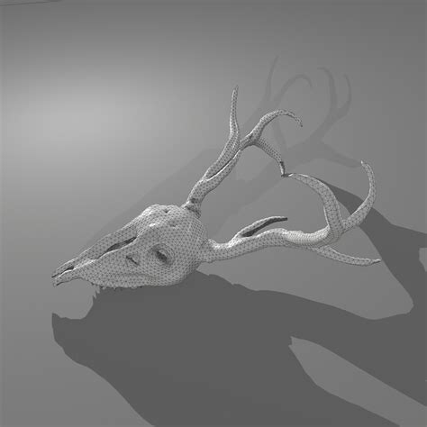 Stag Skull 3d Model By Get Dead Entertainment