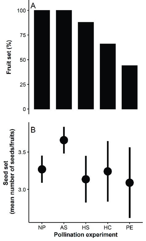 Pollination Experiments With Marsypianthes Chamaedrys Lamiaceae In An