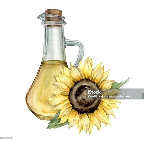 유리병에 담긴 해바라기 기름 손으로 그린 그림은 흰색 배경에 고립되어 있습니다 항아리에 있는 자연적인 신선한 유기 노란 식물성 기름 사실적인 수채화 이미지 순수 비건 조미료