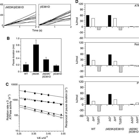 Effect Of Temperature On The Subunit Rotation In F 1 A Time Courses Download Scientific