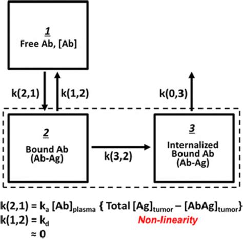 schematic diagram of the non linear compartmental model developed to