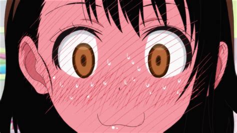 Image 732071 Nisekoi Know Your Meme Image 732071 Nisekoi Know Your Meme