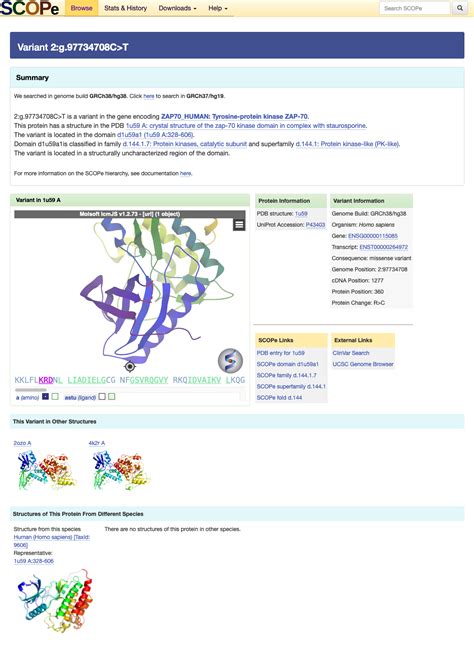 scope 2 08 structural classification of proteins — extended