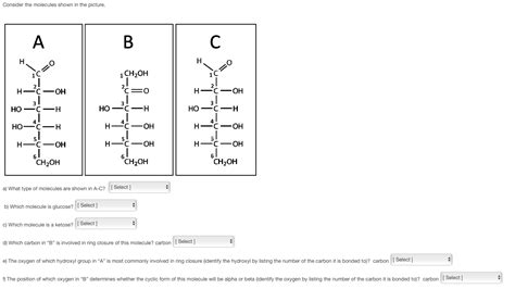 Solved Consider the molecules shown in the picture. a) What | Chegg.com