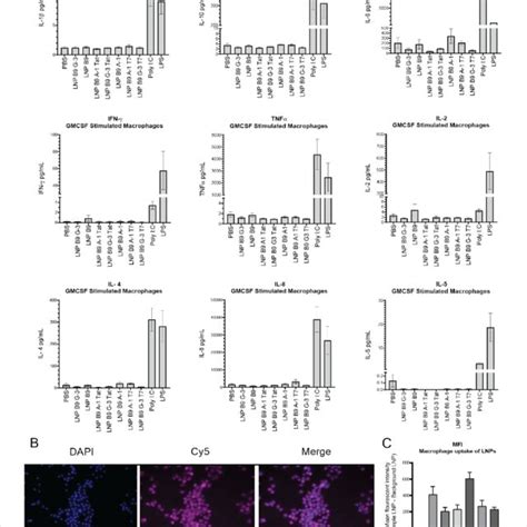 Dls Data Listing Particle Size Pdi And Zp Of Lnp Formula Tions