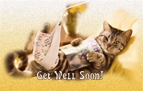 Get Well Soon Cat 