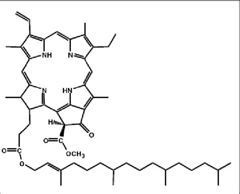 Pheophytin Structure Physicochemical Properties Of Chlorophylls In
