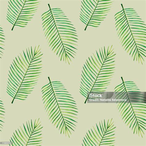흰색 배경에 분리된 야자수 잎의 사실적인 열대 그림이 있는 수채화 매끄러운 패턴 아름 다운 식물 손으로 그린 꽃 요소 디자이너 스파 장식 엽서 결혼식 인사말 배경 화면