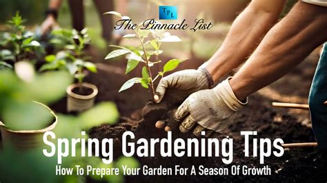 Spring Gardening Tips How To Prepare Your Garden For A Season Of Growth The Pinnacle List