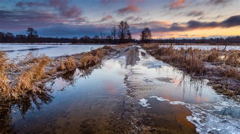 배경 화면 구름 하늘 수자원 식물 나무 Natural Landscape 자연 환 경 Fluvial Landforms Of Streams 물줄기 은행