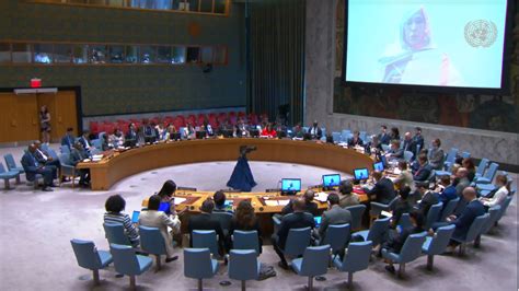 Un Security Council Briefing On Sudan By Dr Limiaa Ahmed Ngo Working