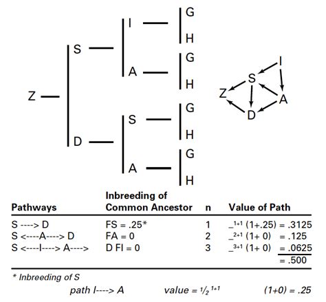 Inbreeding Coefficient Formula Genetic Diversity Managing