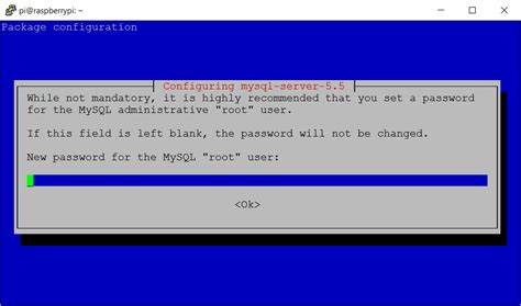 AquaponicPi Setting Up The Raspberry Pi As A Web Server Part
