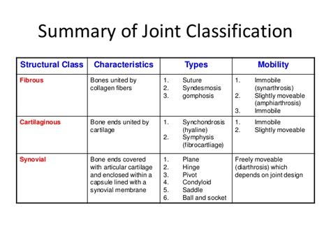 Types Of Synovial Joints Table