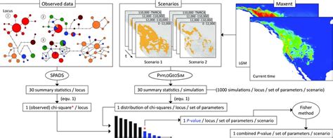 Schematic Representation Of Steps Involved In Inferring Species History Download Scientific