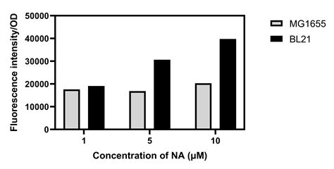 Strain Construction