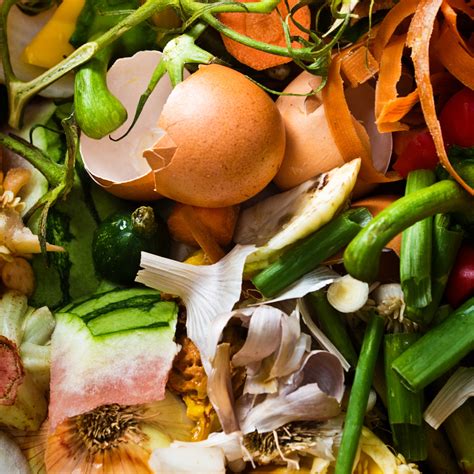 Home Composting Of Bioplastics European Bioplastics Ev