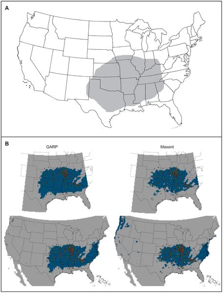 Brown Recluse Spider Map