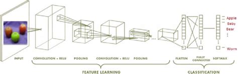 Basic Framework Of Convolutional Neural Network Applied On Cifar 100