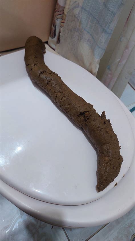 27 Best Ubreebreepp Images On Pholder Poop Realscatguys And Ratemypoo