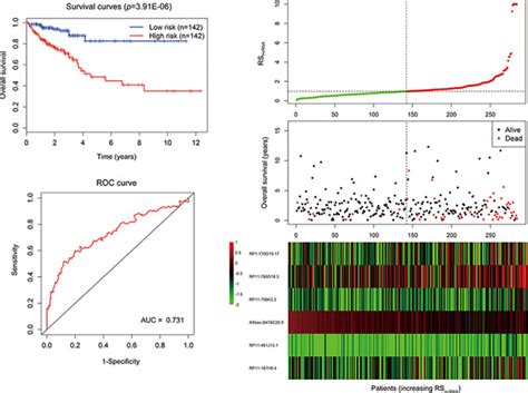 Discovery Of A Novel Sixlong Noncoding RNA Signature Predicting Survival Of Colorectal Cancer