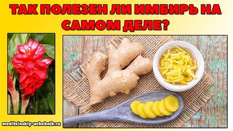 ИМБИРЬ ПОЛЕЗНЫЕ СВОЙСТВА И ПРОТИВОПОКАЗАНИЯ ДЛЯ ЧЕЛОВЕКА - YouTube