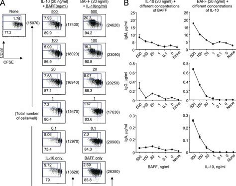 Il 10 Promotes Naive B Cell Differentiation Into Pbs And Ig Secretion Download Scientific