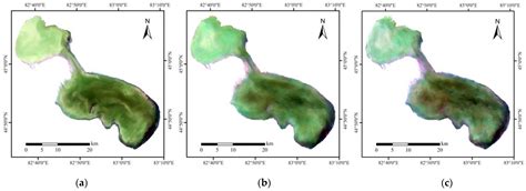 Remote Sensing Free Full Text An Advanced Spatiotemporal Fusion