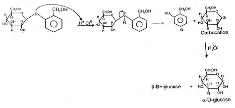 Examples Of Condensation Polymers Class 12 At Vera Sottile Blog
