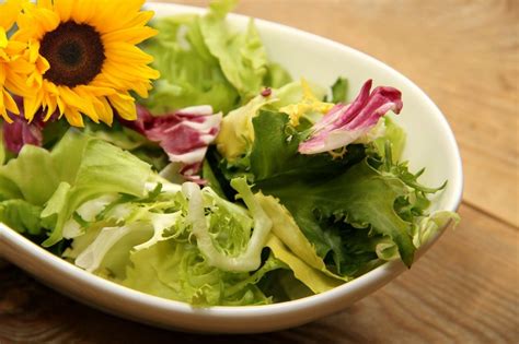 Nutritional Value And Uses Of Different Types Of Lettuce Pioneerthinking Com