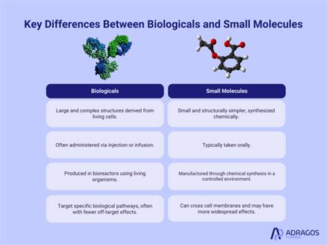 The Rise Of Biologics Transforming Patient Care And Treatment