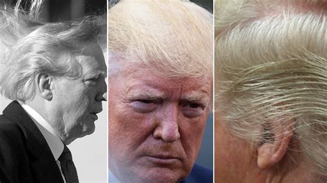 The Ugly Truth About Donald Trumps ‘appalling Hair Michael Wolff