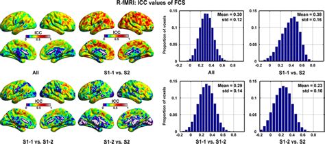 The Brain Figures Were Visualized Using The Brainnet Viewer