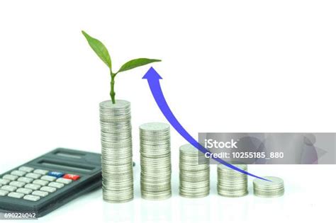 계산기 작은 나무 성장 하 고 흰색 바탕에 위쪽 화살표와 함께 동전을 쌓아 성장 개념 저장 및 사업에 투자 경제에 대한 스톡 사진 및 기타 이미지 Istock