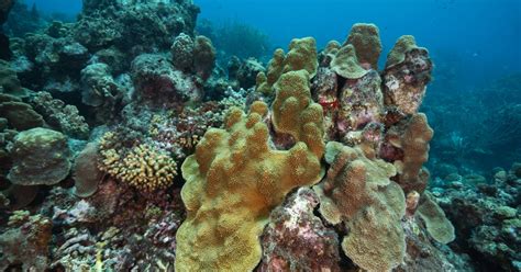 Reconstructing The History Of Thermal And Sediment Anomalies In The