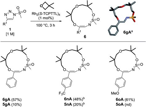 diversity oriented synthesis of heterocycles and macrocycles by