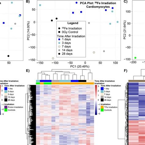 Global Transcriptome Analysis Comparing Experimental Conditions To The