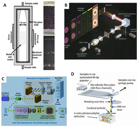 Technologies For Rare Cell Detection And Imaging In Flow Based Systems Download Scientific