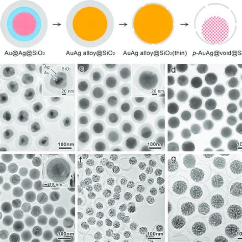 Pdf Porous Au Ag Nanospheres With High Density And Highly Accessible