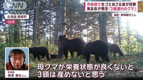 クリスマスも相次ぐ“クマ出没” シカが関係？「3頭連れクマ」増加の理由