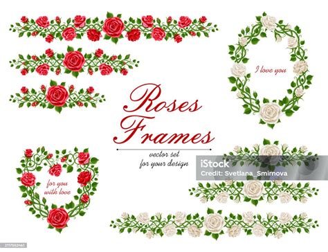 빨간 장미와 흰 장미 나뭇잎과 Bindweed의 아름 다운 화환 장미 프레임 벡터 일러스트 레이 션 개체 그룹에 대한 스톡 벡터 아트 및 기타 이미지 Istock