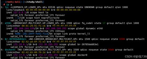 零基础学安全 shell练习 csdn博客