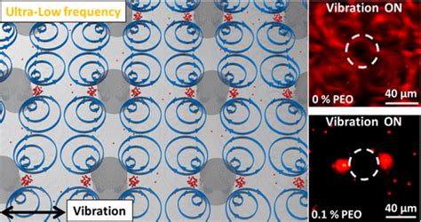 Submicron Particle Concentration And Patterning With Ultralow Frequency Acoustic Vibration