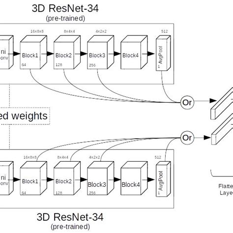 Two Stream 3d Cnn For Lung Cancer Classification Download Scientific Diagram