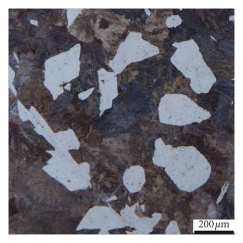 As Cast Structures Of The Conventional Ingot A And The Ultrasonic