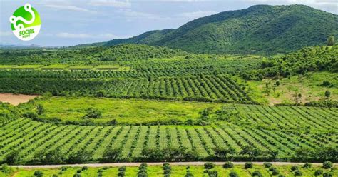 ភ្នំវល្លិ៍នៅ ខេត្តកែប នឹង ត្រូវប្រែក្លាយ ជាតំបន់ ទេសចរណ៍ ប្រវត្តិសាស្រ្តសង្គ្រាម ទេសចរផ្សងព្រេង